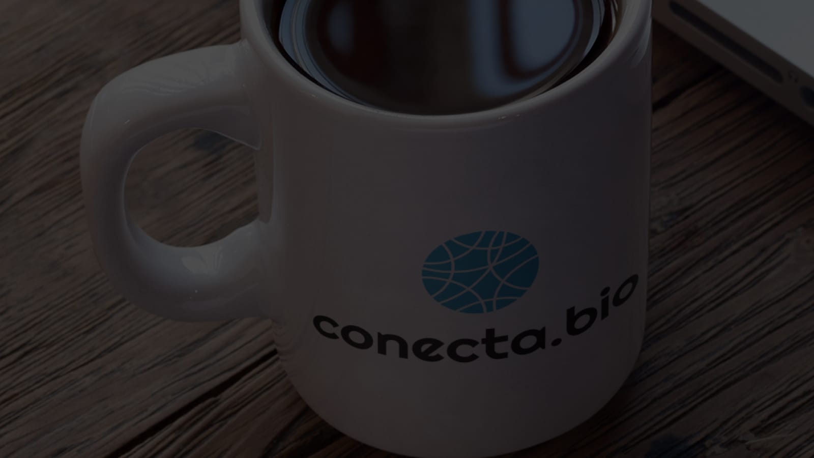 Bobbie Goods AI - Blog do Conecta.bio